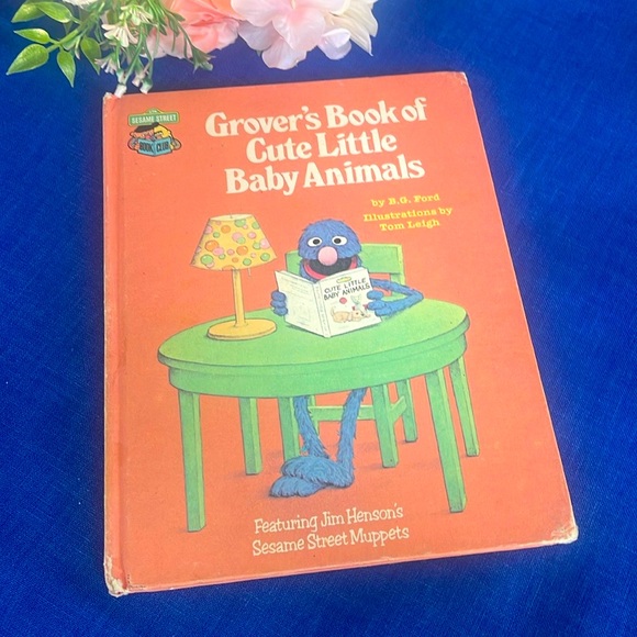 Sesame Street | Toys | Grovers Book Of Cute Little Baby Animals Sesame ...